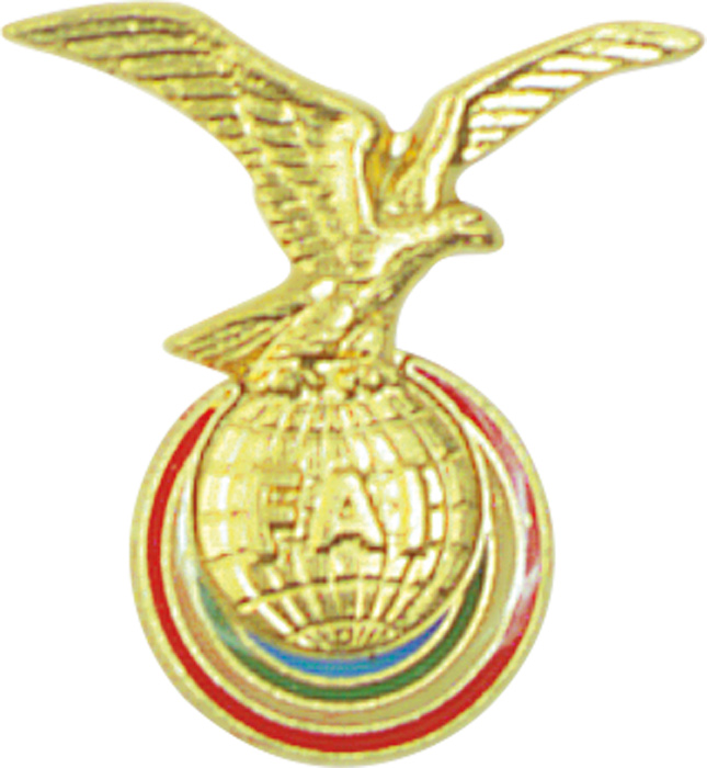 FAI Badge | Siebert Luftfahrtbedarf