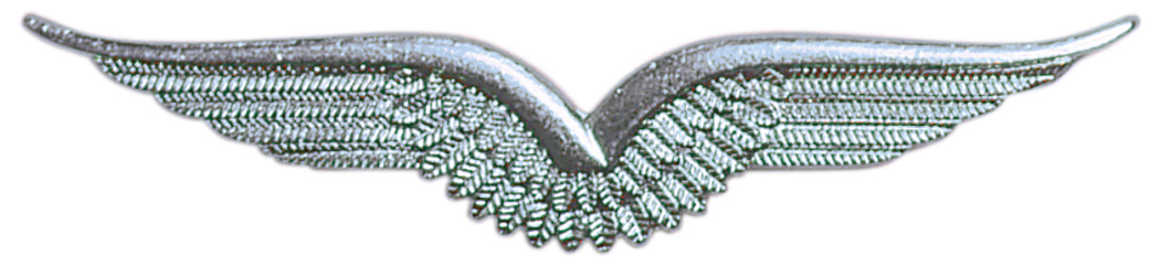 Schwinge, massiv | Siebert Luftfahrtbedarf